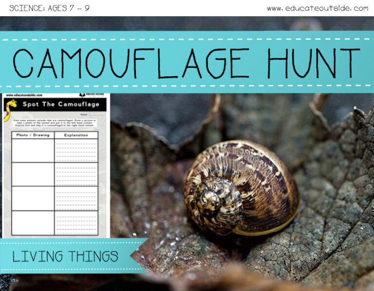 Animal Adaptations Activity- Camouflage Hide and Seek - Educate Outside ...