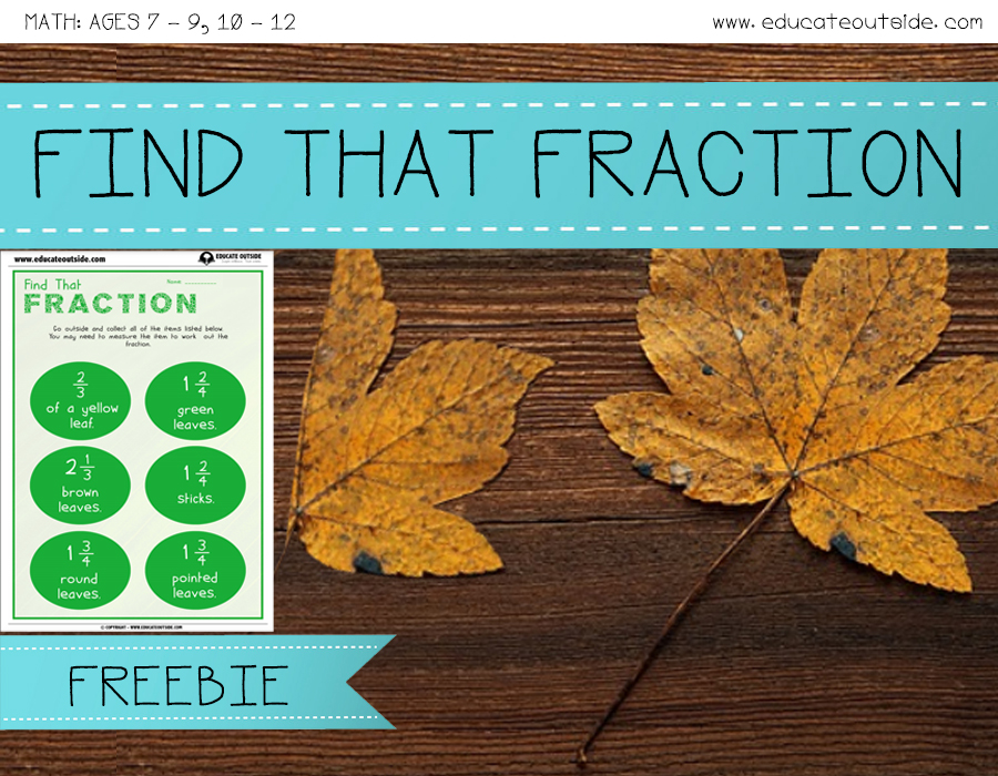 Math Scavenger Hunt | Fractions