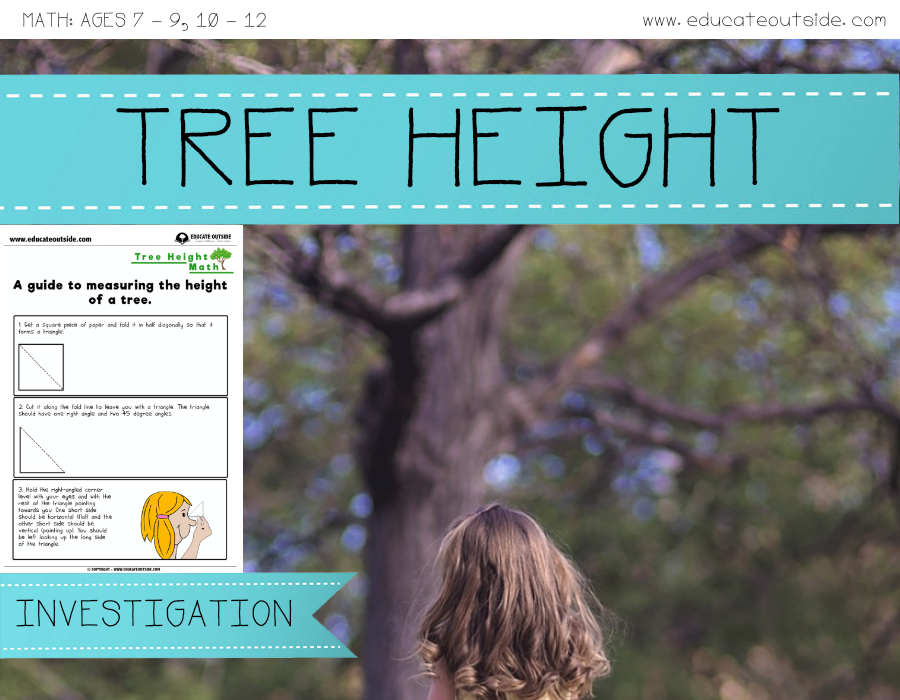 Tree Height Math Investigation | Measurement & Data Handling