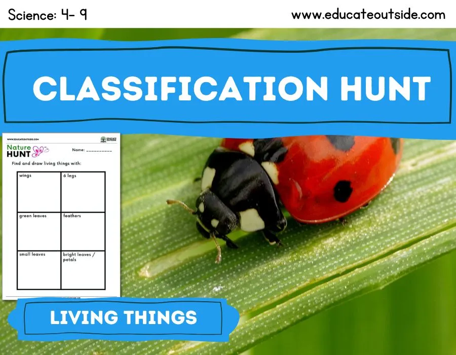 Classification Sorting Lesson - Nature Hunt - Living Things - Educate ...