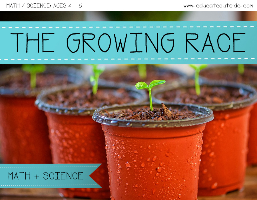 Lifecycle of a Plant – What Plants Need To Grow Investigation (Ages 4 ...