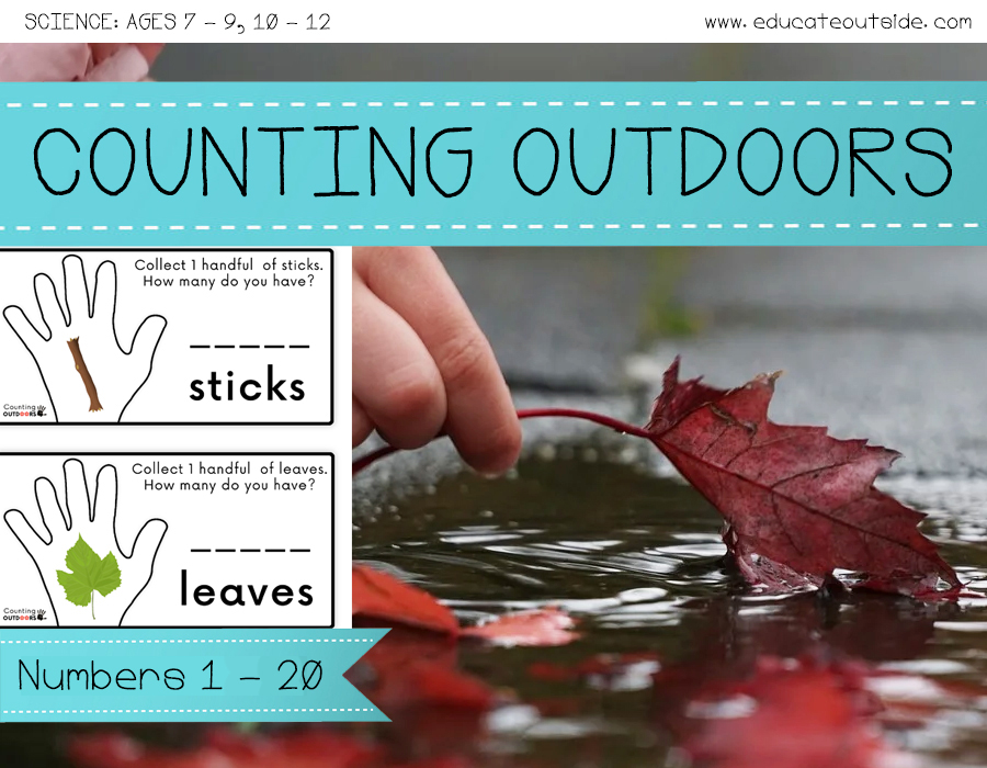 Outdoor Math | Counting With Numbers 1 to 20