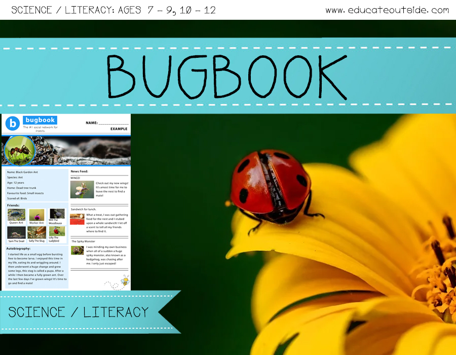 Non-Fiction Writing Activity - Insects / Mini-Beasts - Educate Outside ...