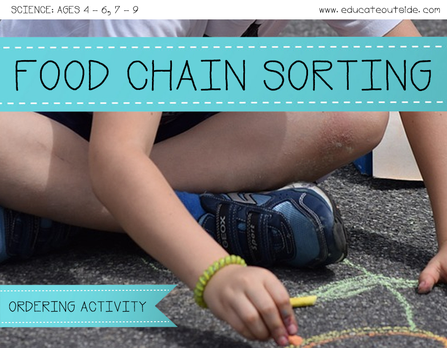 Food Chains Sorting Activity | Living Things | Animals - Educate ...