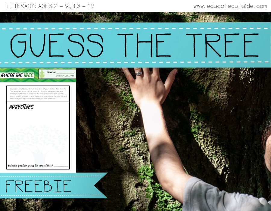 Outdoor Adjectives Game | Guess The Tree