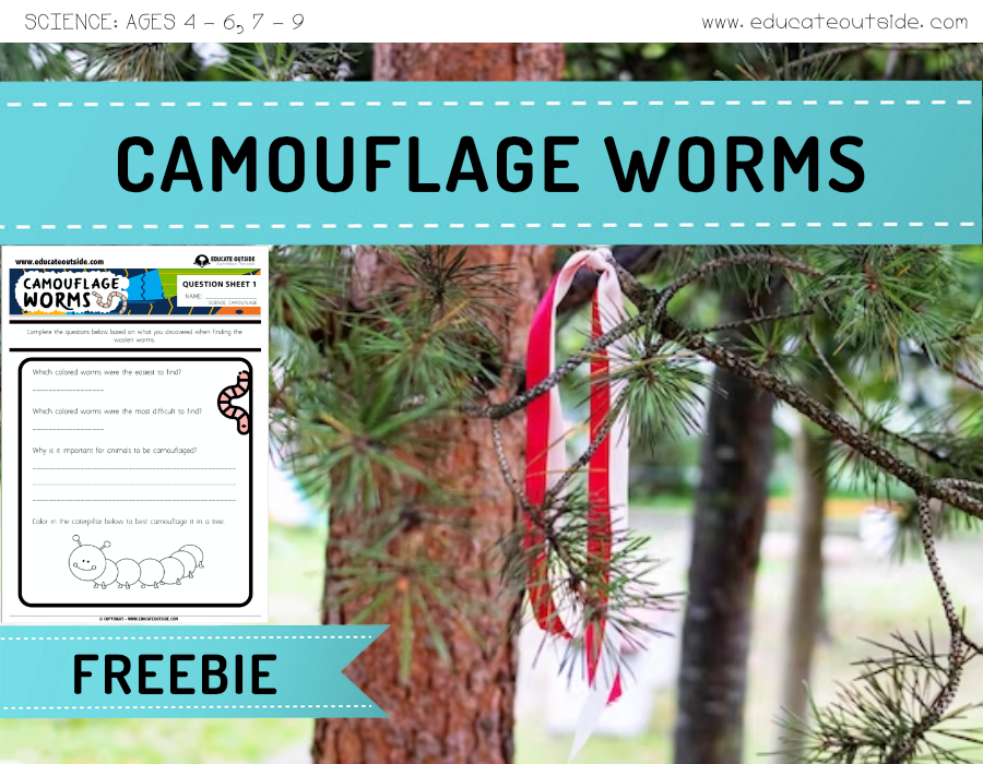 Animal Adaptations Lesson - Camouflage Worm Hunt - Educate Outside ...
