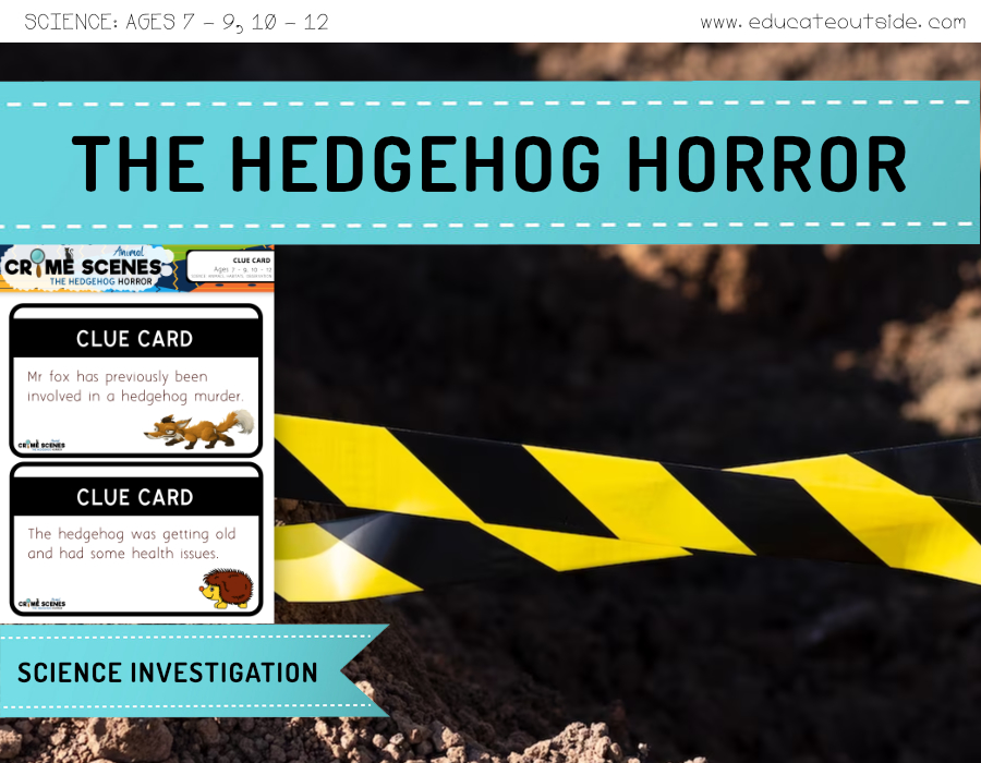 Living Things Investigation - Animal Crime Scenes: Hedgehog Horror ...