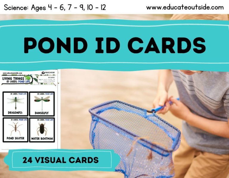Pond Life Scavenger Hunt – Outdoor Science Activity