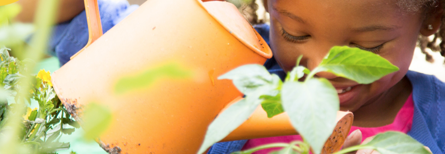 Ditch the Desk, Welcome the Dirt: 5 Reasons to Teach Lessons Outside ...