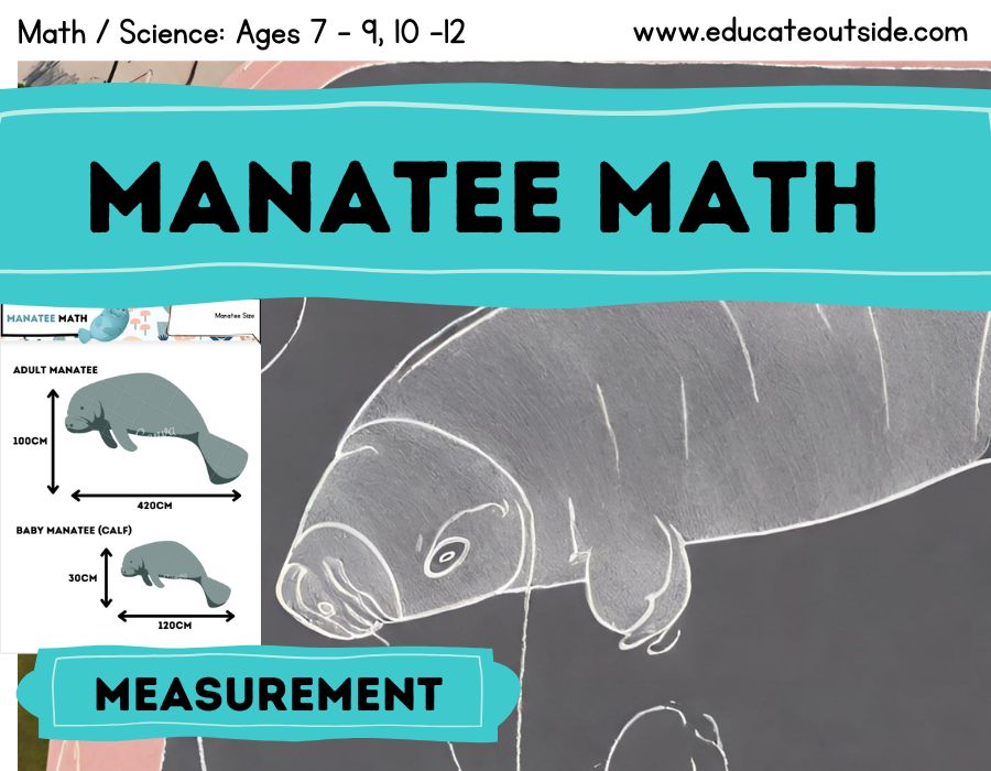 Measurement and Scaling Activity - Manatee Math - Educate Outside ...