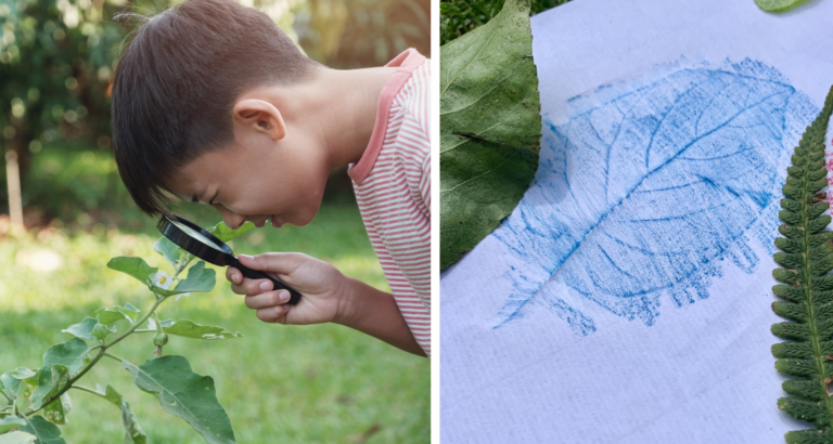 The Power of Nature in Homeschooling: A Guide to Using Educate Outside ...
