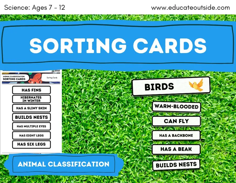 Animal Classification Activity | Classification Sorting Cards