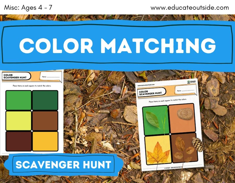 Outdoor Color Match Activity for Kids: Fun, Nature-Based Learning